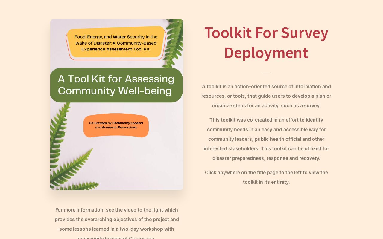 Toolkit for Survey Deployment- FEW Security in Disaster Context